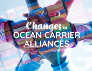 New alliances in the global ocean freight sector
