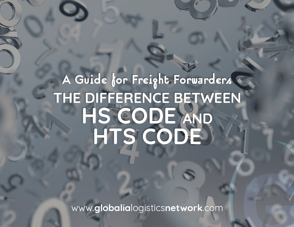 Difference between HS Code and HTS code for freight forwarders